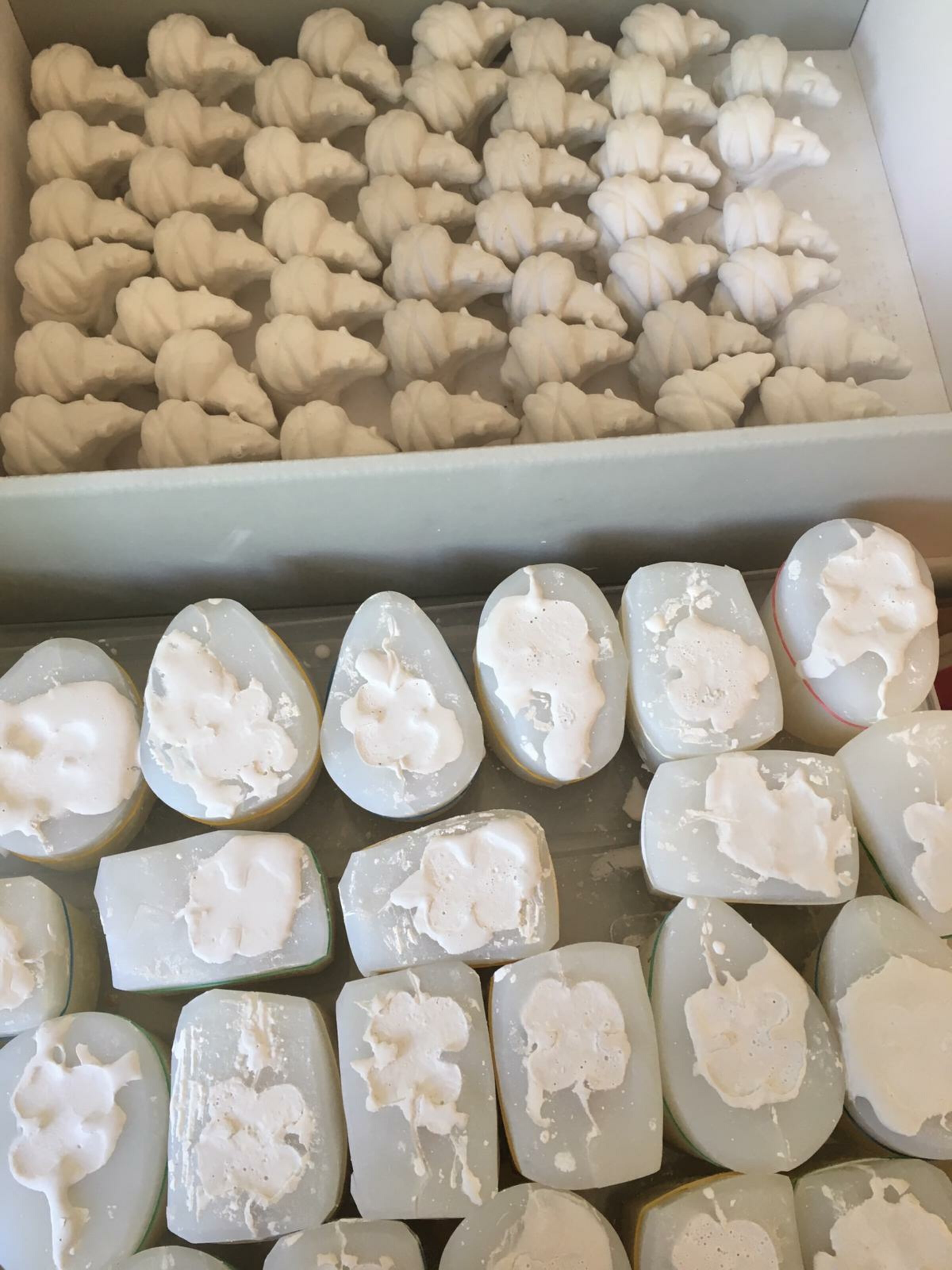 Der Bär | Dimu Freising