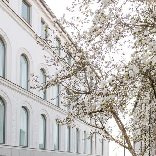 Home | Dimu Freising