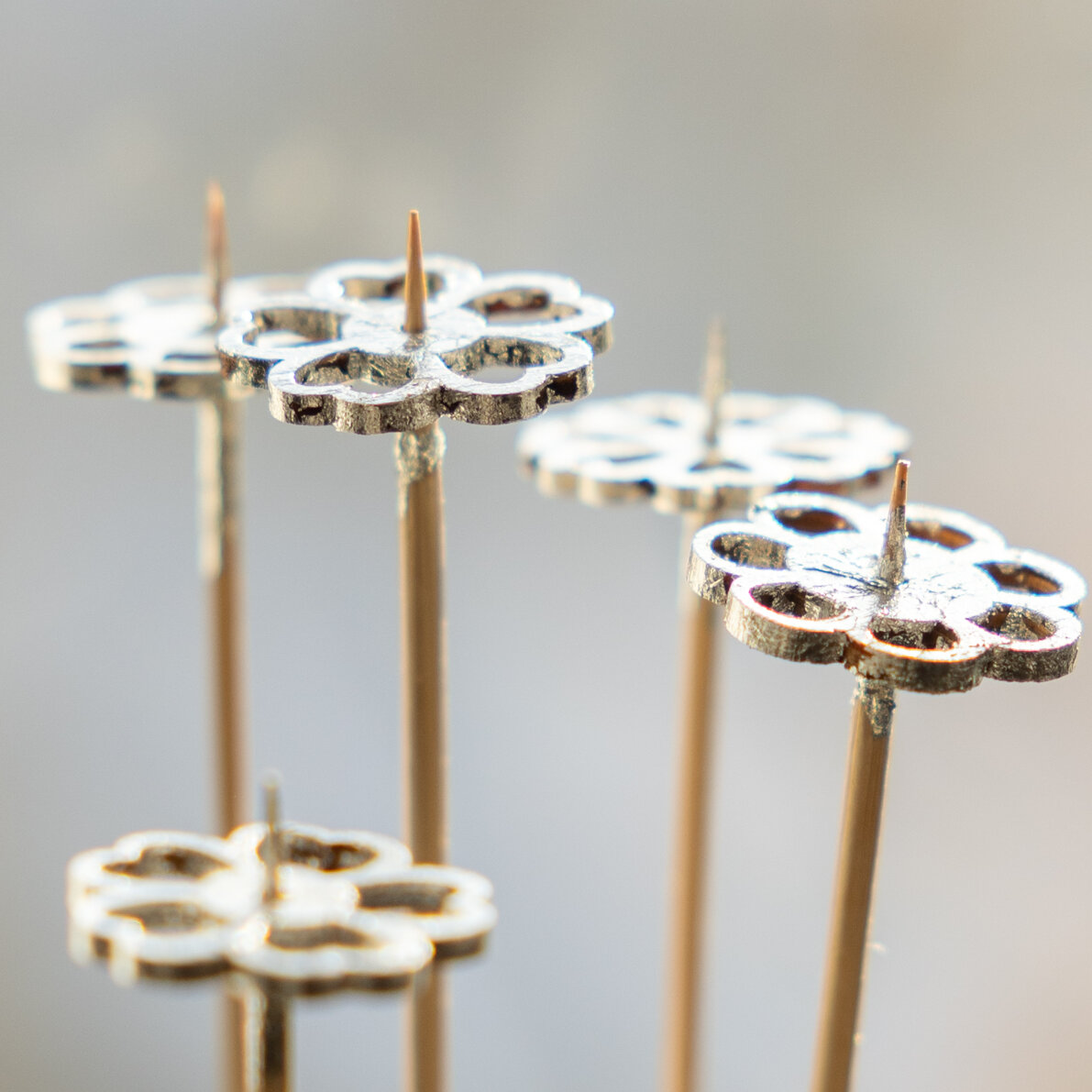 Home | Dimu Freising