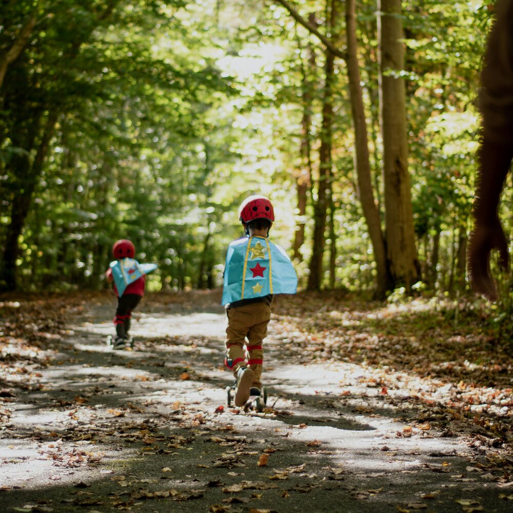 Kalender | Dimu Freising